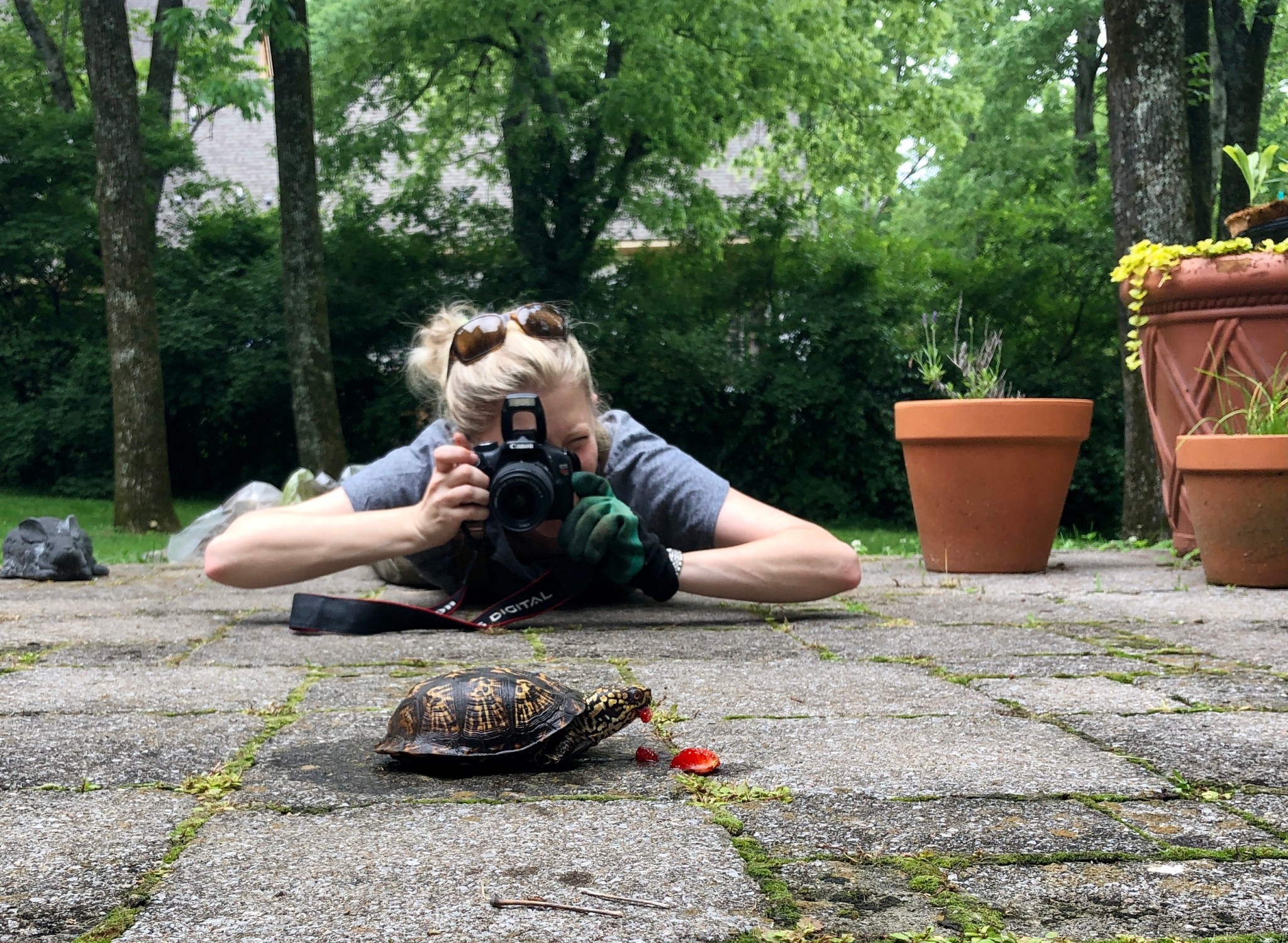 Who Is Frank? (And What’s With the Turtles?) – Mary Laura Philpott